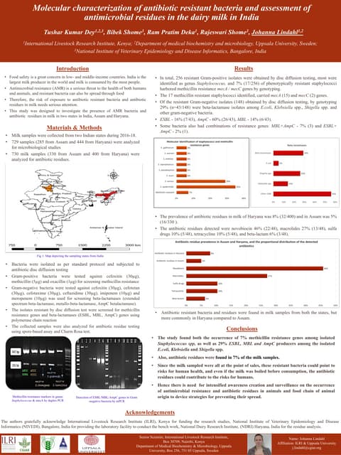 Staphylococcus aureus in cow milk: Prevalence, antibiotic resistance and hygiene implications | PDF
