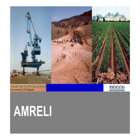 Amreli - District Profile | PDF