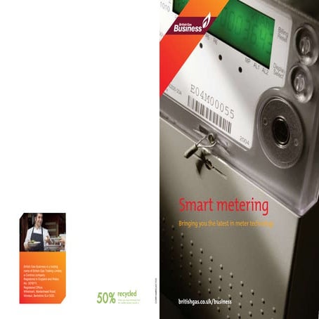 Smart Gas Meters | PDF