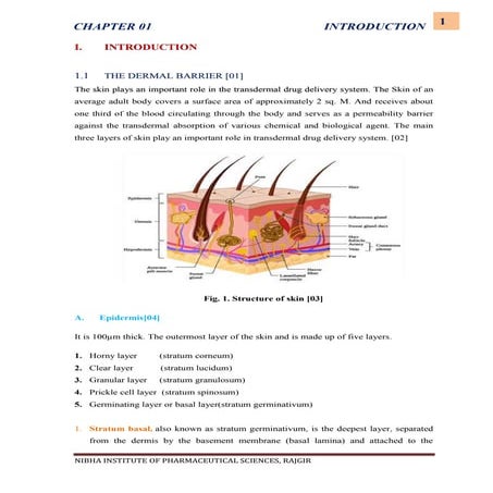Amrita Rani .......docx