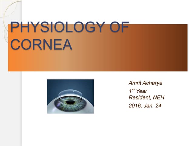 Anatomy of cornea | PPTX