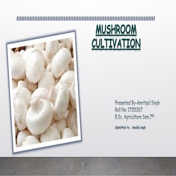 mushroom cultivation | PPTX