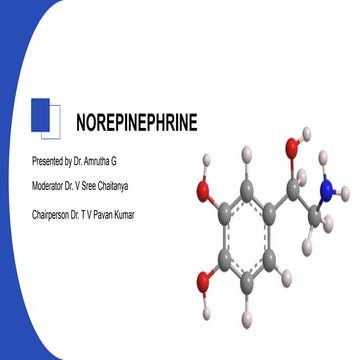 NorEpinephrine ppt.pptx