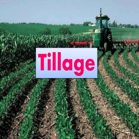 tillage and objectives | PPTX | Agriculture | Industries