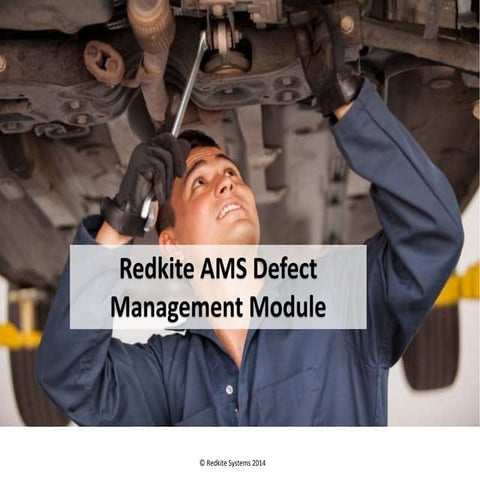 Redkite AMS Defect Management | PPT
