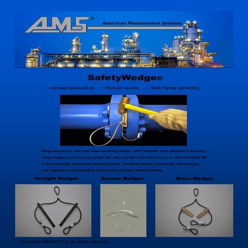 AMS® SafetyWedge™ Brochure | PDF