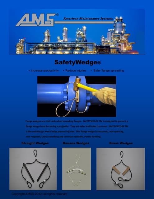 AMS® SafetyWedge™ Brochure | PDF