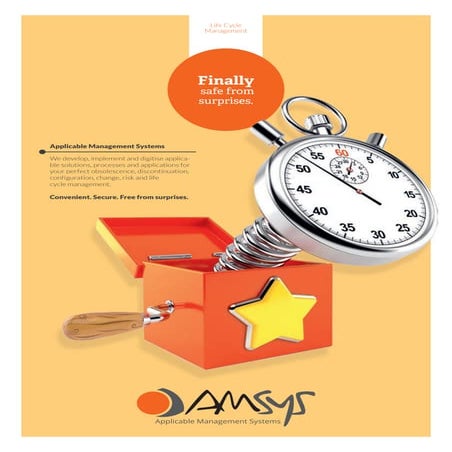 AMSYS - Applicable Management Systems | PDF