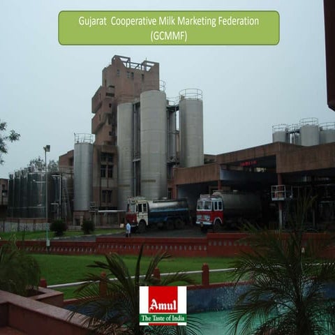 amul dairy visit report | PDF