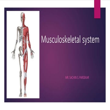 A)musculoskeletal system | PPTX