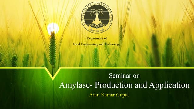 Presentation on Amylase enzyme | PPTX