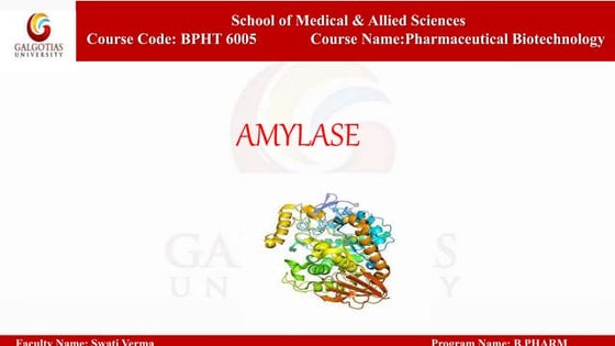 Amylases (Types, Sources, Mode of Action & Applications) | DOCX
