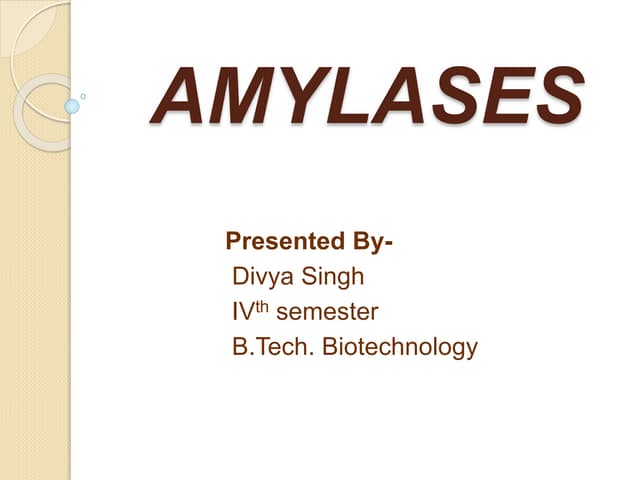 Presentation on Amylase enzyme | PPTX
