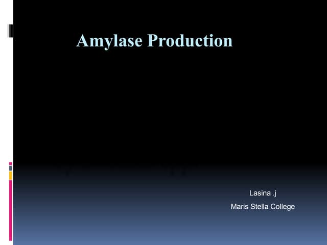Presentation on Amylase enzyme | PPTX