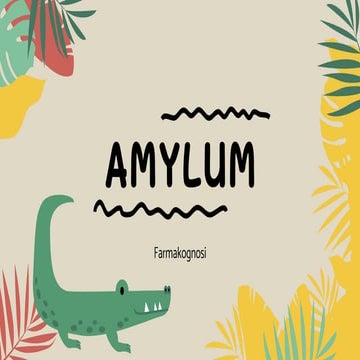 materi Amylum Farmakognosi kelas XI.pptx