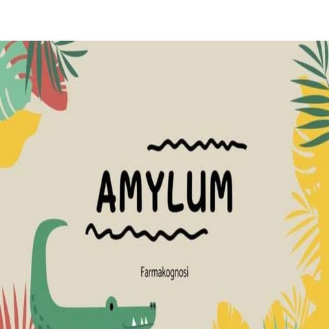 Simplisia Amylum 11 Farmasi SMK Farmakognosi.pptx