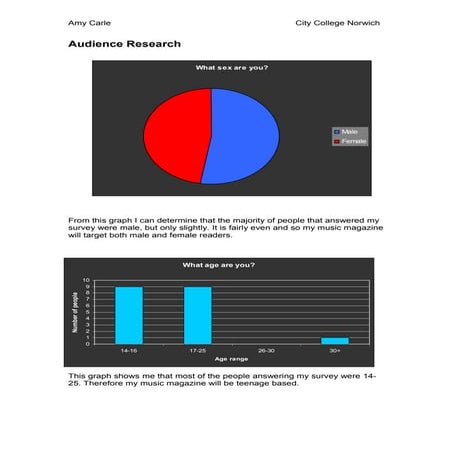 Audience Research | PDF