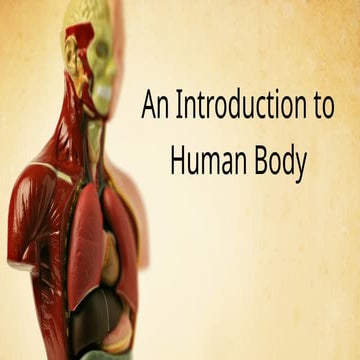 An Introduction to Human Anatomy and Physiology | PPTX