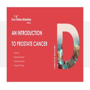 An Overview of Prostate Cancer - Creative Biolabs | PPTX