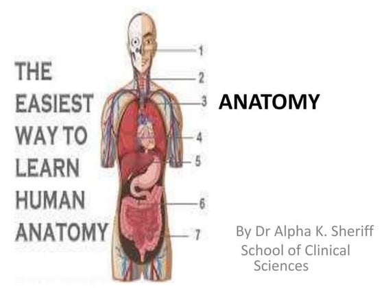 Basic anatomical terminology | PPT