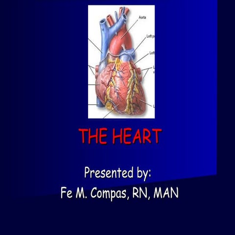 Practical 1 pig heart dissection | PPTX