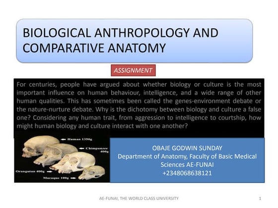 Archaeology Vocabulary | PPT