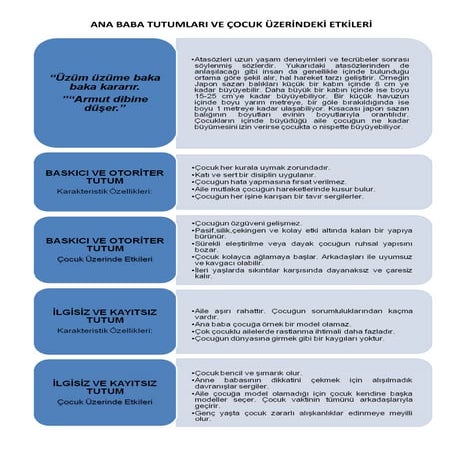 Ana Baba Tutumu | PDF