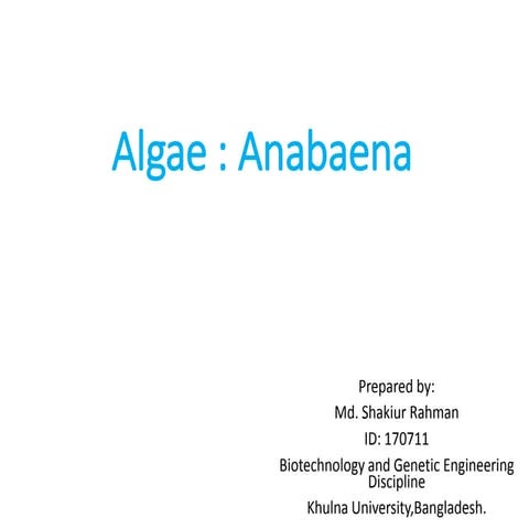 Anabaena | PPTX
