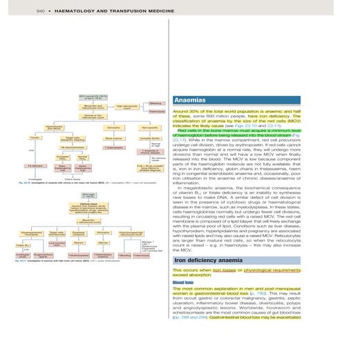types of anemia: - Iron Deficiency Anemia (IDA) - Anemia of Chronic ...