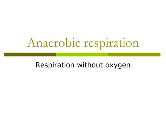 aerobic and anaerobic respiration.pptx