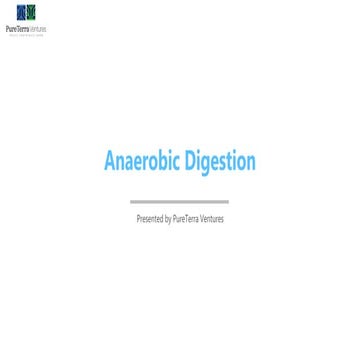 Anaerobic digestion | PDF | Chemistry | Science