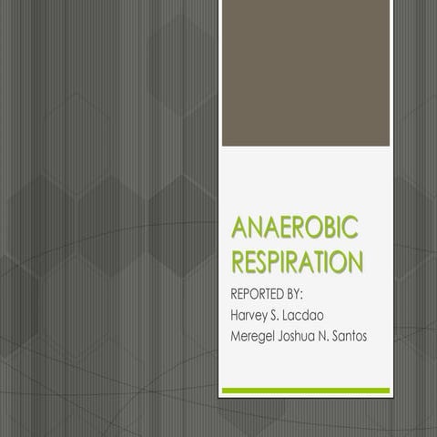 Anaerobic respiration | PPTX