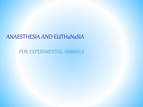 Euthanasia in Experimental Animals.pptx | First Aid | Injuries