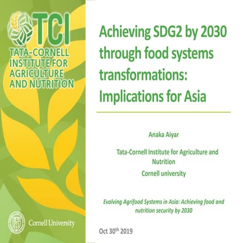 Achieving SDG2 by 2030 through food systems transformations ...