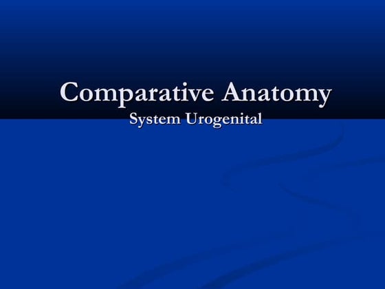 Reproductive system of frog | PPTX | Reproductive Health | Diseases and ...