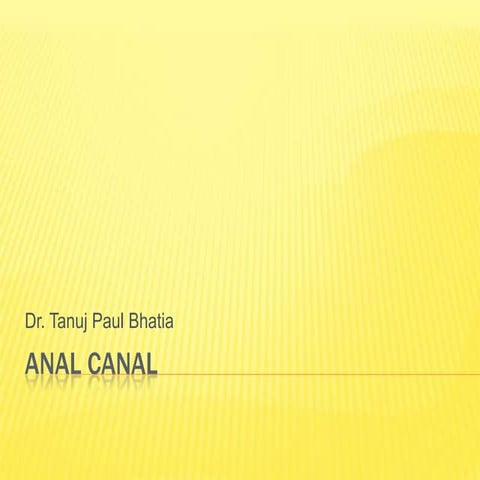 Anal Canal Ppt