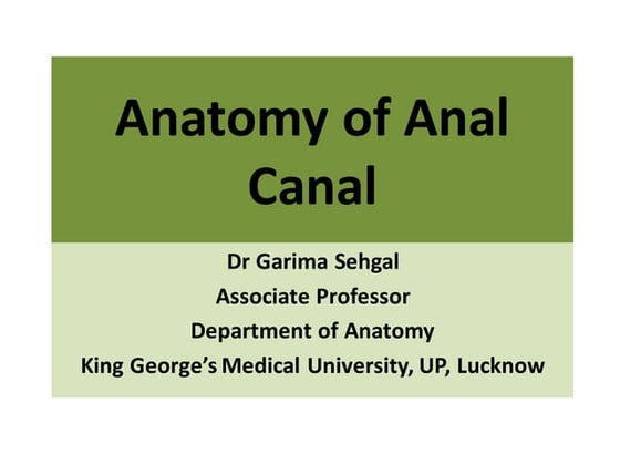 Rectum & Anal canal By Prof.Dr.N.Mugunthan | PDF