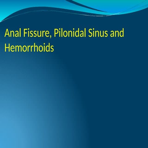 Anal fissure hemmorids pilonidal sinus ppt.pptx