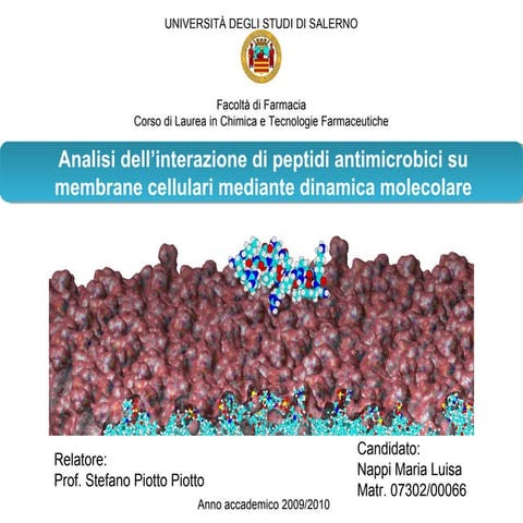 Analisi dell’interazione di peptidi antimicrobici su membrane cellulari ...