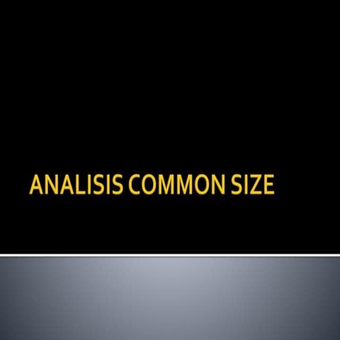 Analisis common size | PPTX