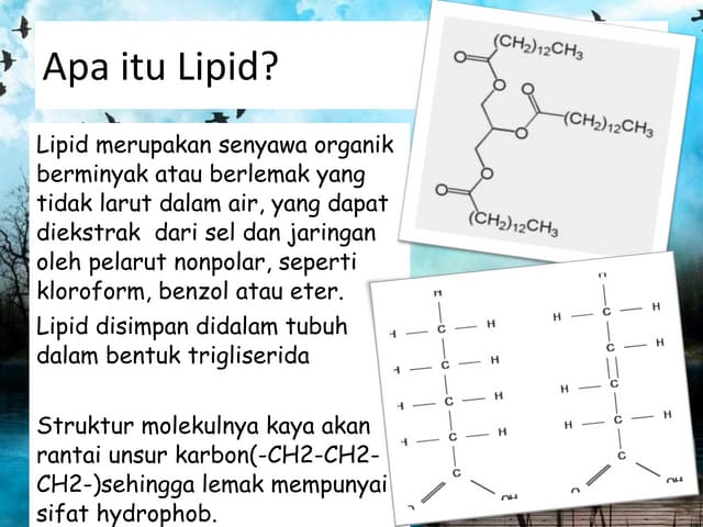 Lipid | PDF