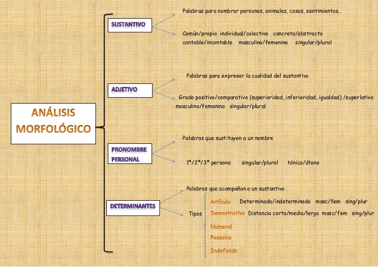 Analisis Morfologico