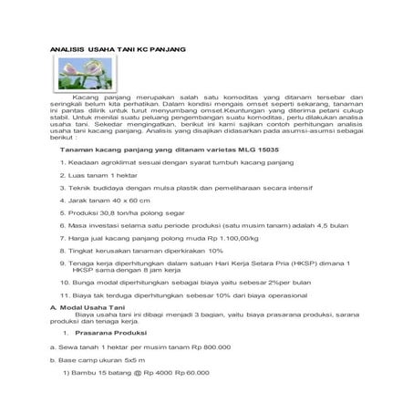 Analisis usaha tani kc panjang | DOCX