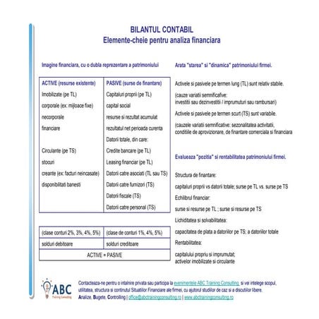 Analiza financiara a bilantului contabil - Elemente cheie (Anda Racsa ...