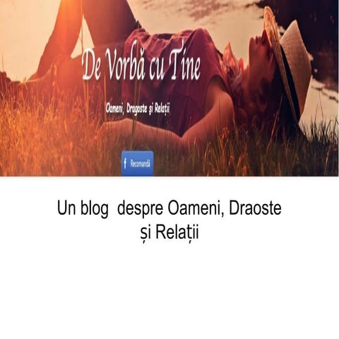 Analiza unui blog | PPT