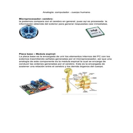 Analogía pc - cuerpo humano | DOCX | Computer Peripherals | Computing