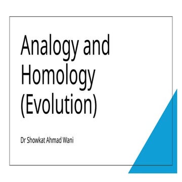 Types of stele and stelar evolution | PDF