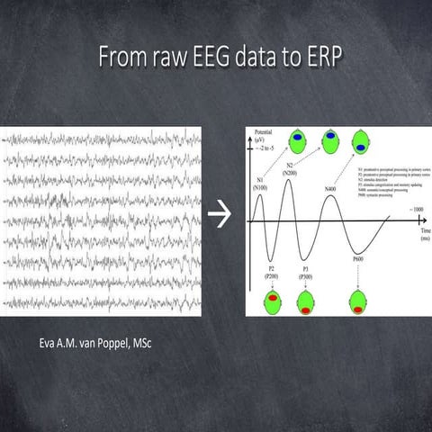 analysingeeg datausing matlab.ppt