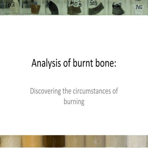 Analysis of burnt bone by Alison Nicholson Session 9 2012 | PPT ...