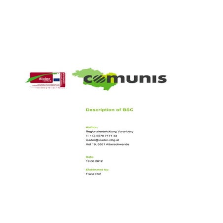 Comunis Analysis tool bsc balanced scorecard description | PDF